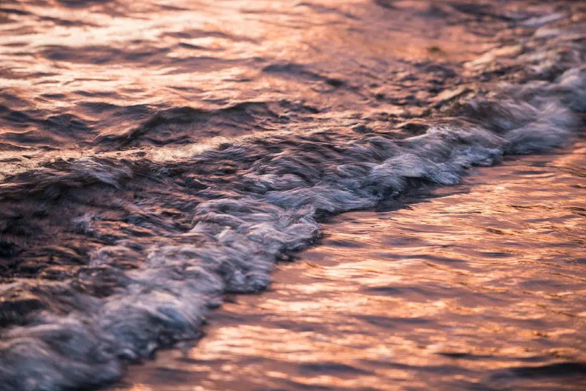 Lapping Shores, by Garret Suhrie – PurePhoto