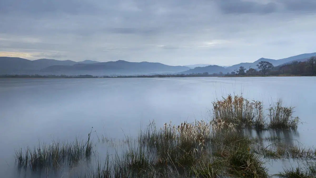 Bassenthwaite Dawn, by Alan Ranger – PurePhoto
