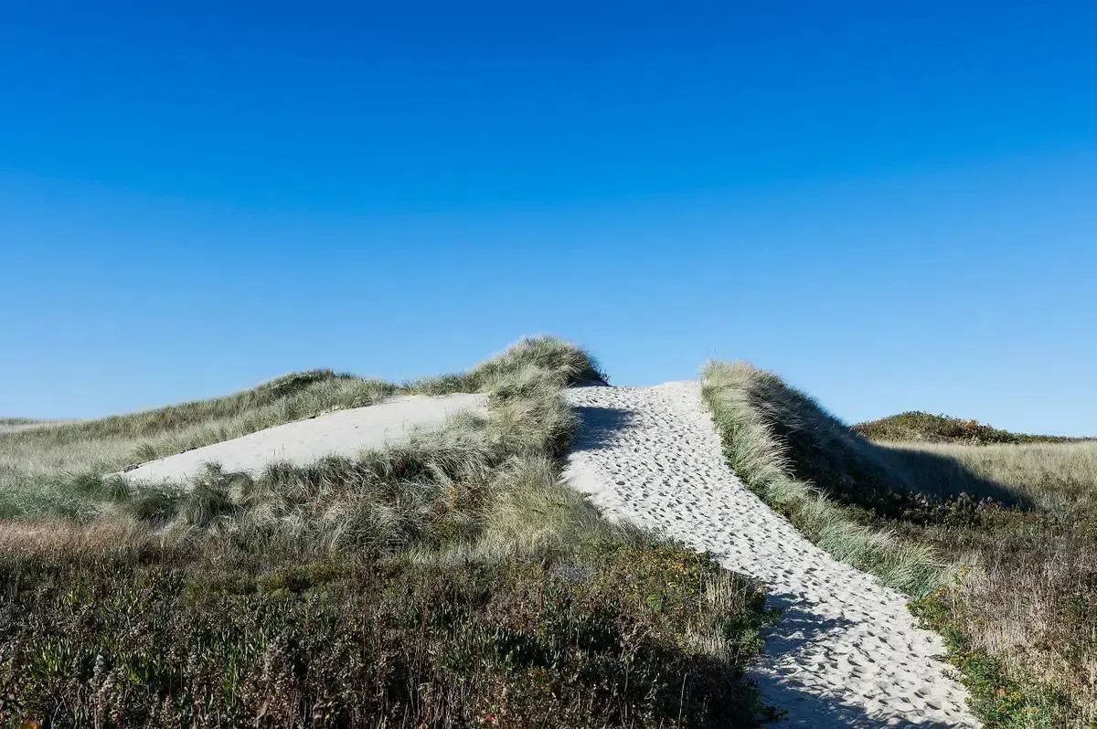 Beach Path, by John Greim – PurePhoto