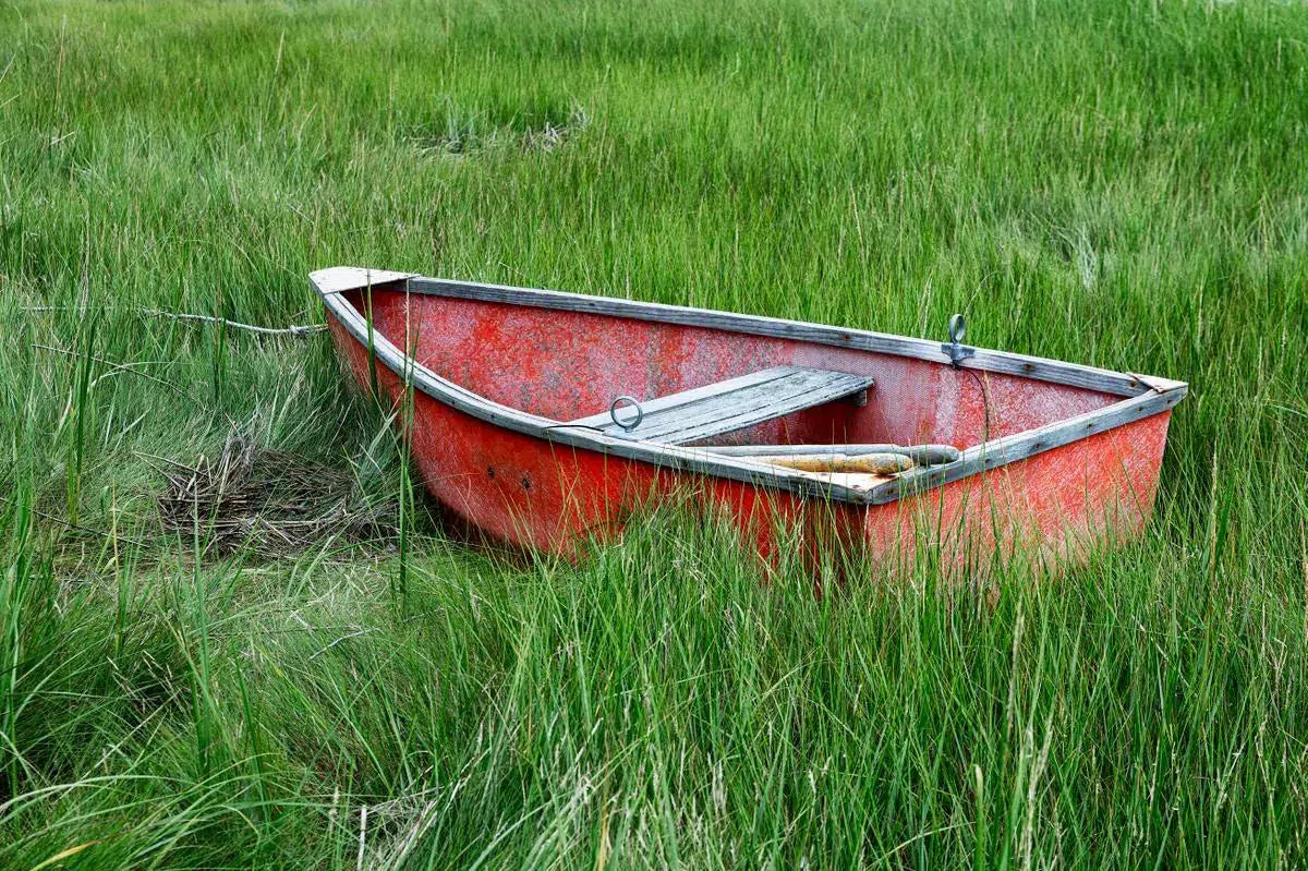 Dory, by John Greim – PurePhoto