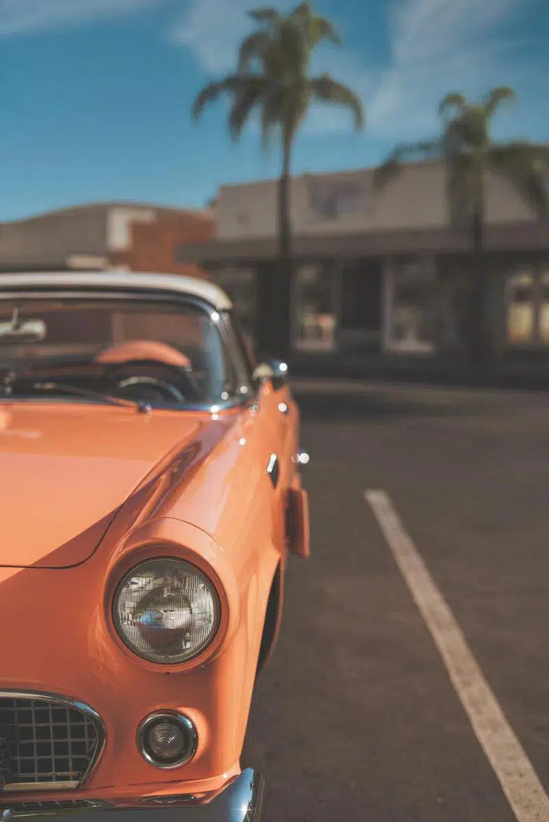 Downtown Thunderbird, by Jens Ochlich – PurePhoto