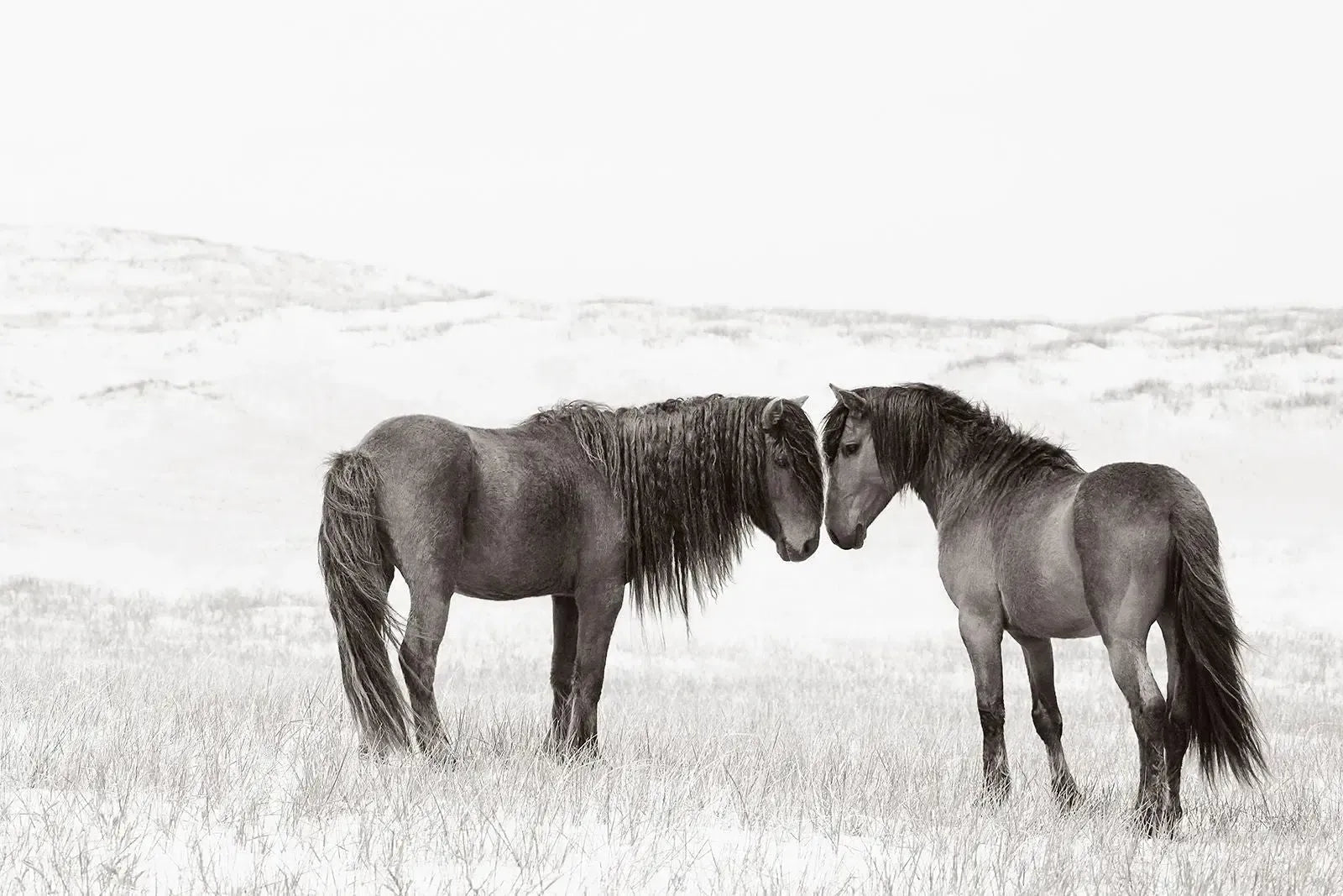 Eternity, by Drew Doggett – PurePhoto