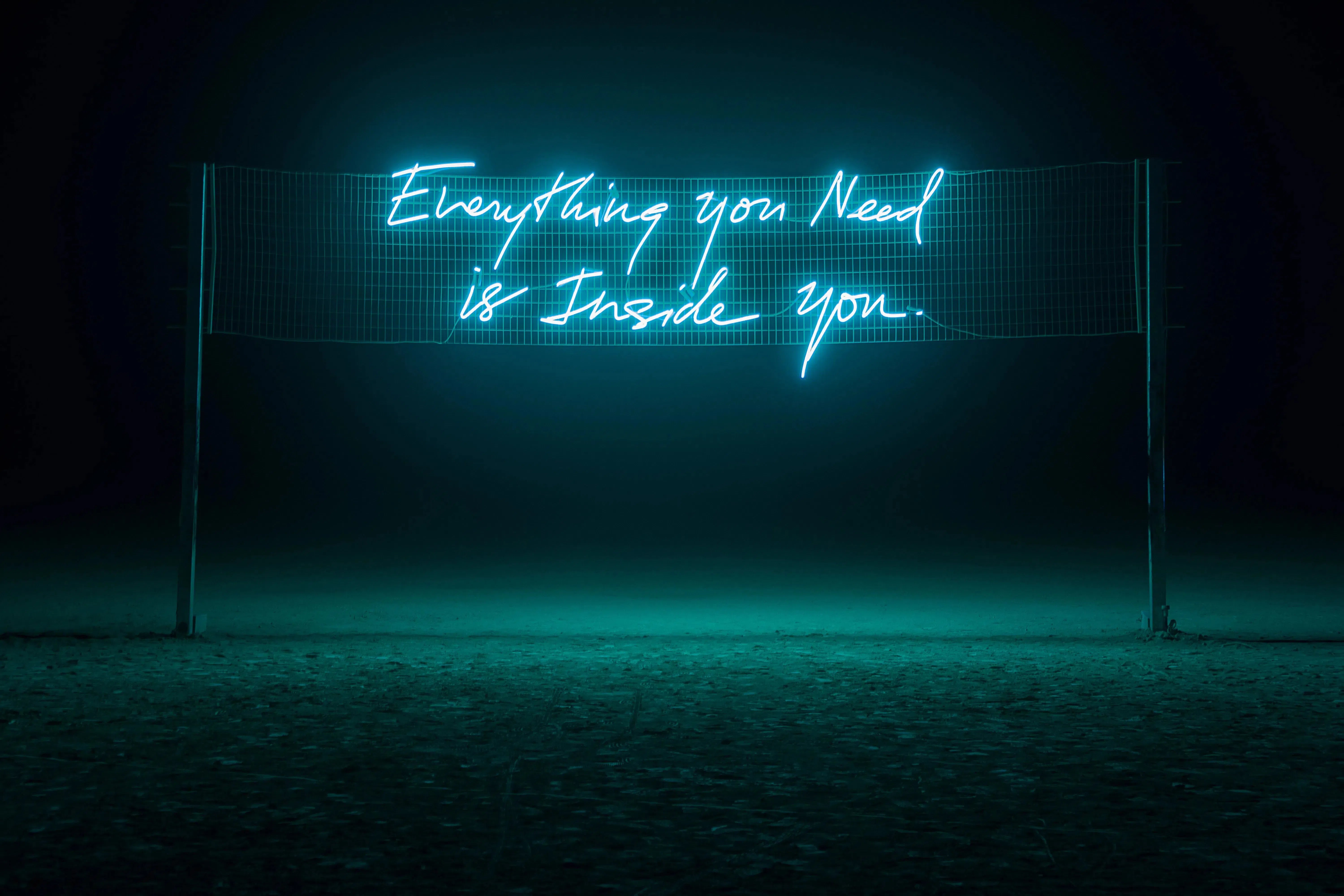 Everything You Need (Night), by Olivia Steele – PurePhoto