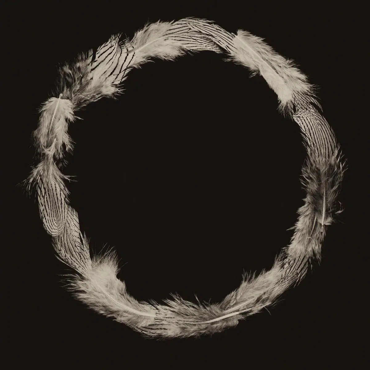 Feather Circle, by Trinette + Chris – PurePhoto