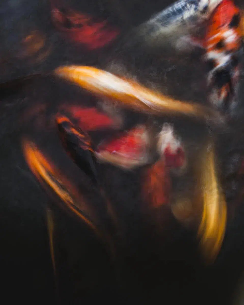Koi VIII, by Oliver Regueiro – PurePhoto