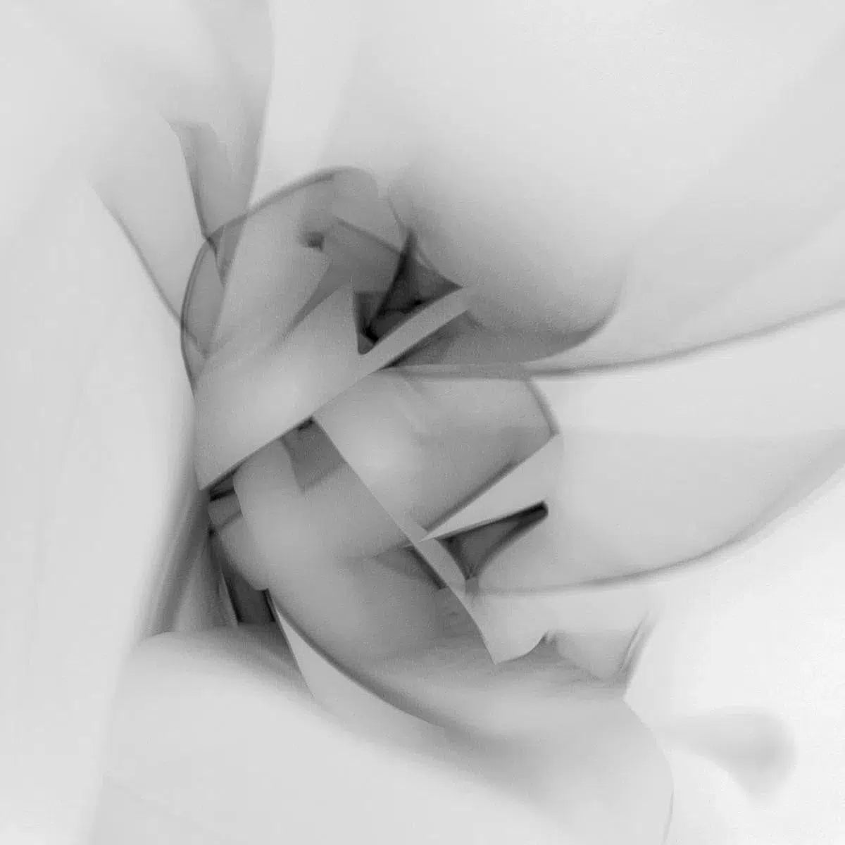 Light Imitating Art® :: Masquerade, by Gillian Lindsay – PurePhoto