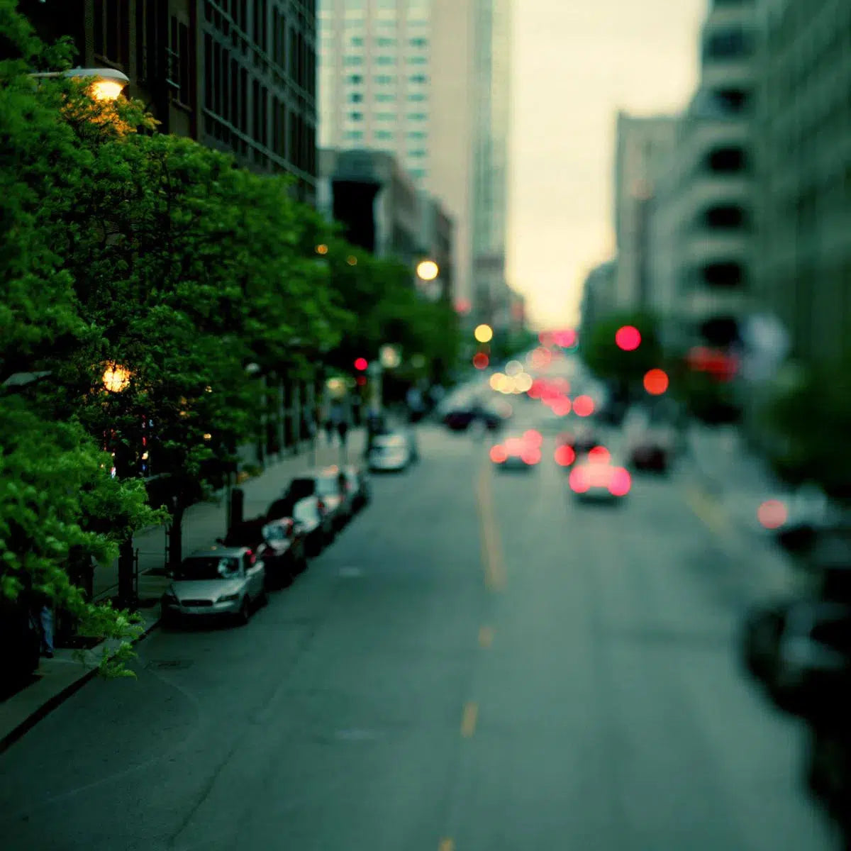 NEON SUMMER, by Alicia Bock – PurePhoto