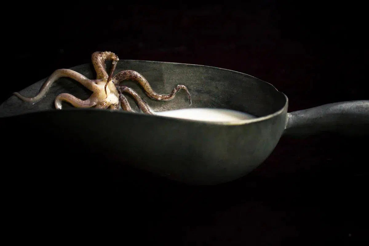 Octopus & Milk, by Curtis Speer – PurePhoto