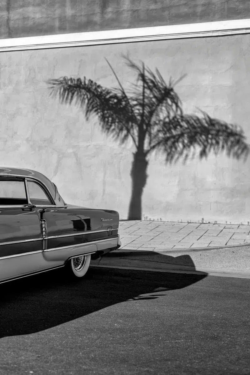 Palm Tree Packard I, by Jens Ochlich – PurePhoto