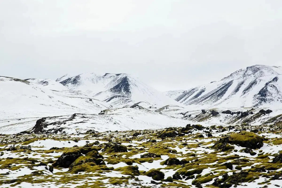 Passing By, by Simon Reif – PurePhoto