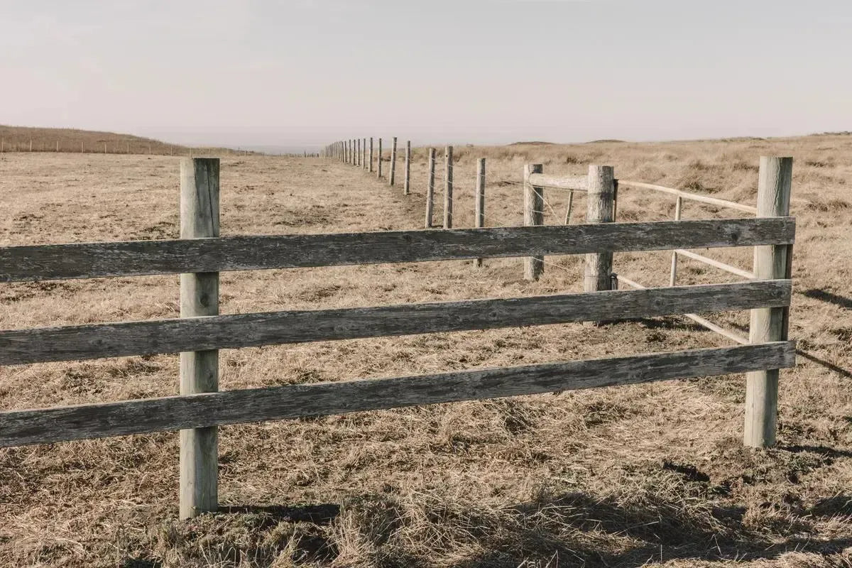 Point Reyes Farm, by Paul Edmondson – PurePhoto