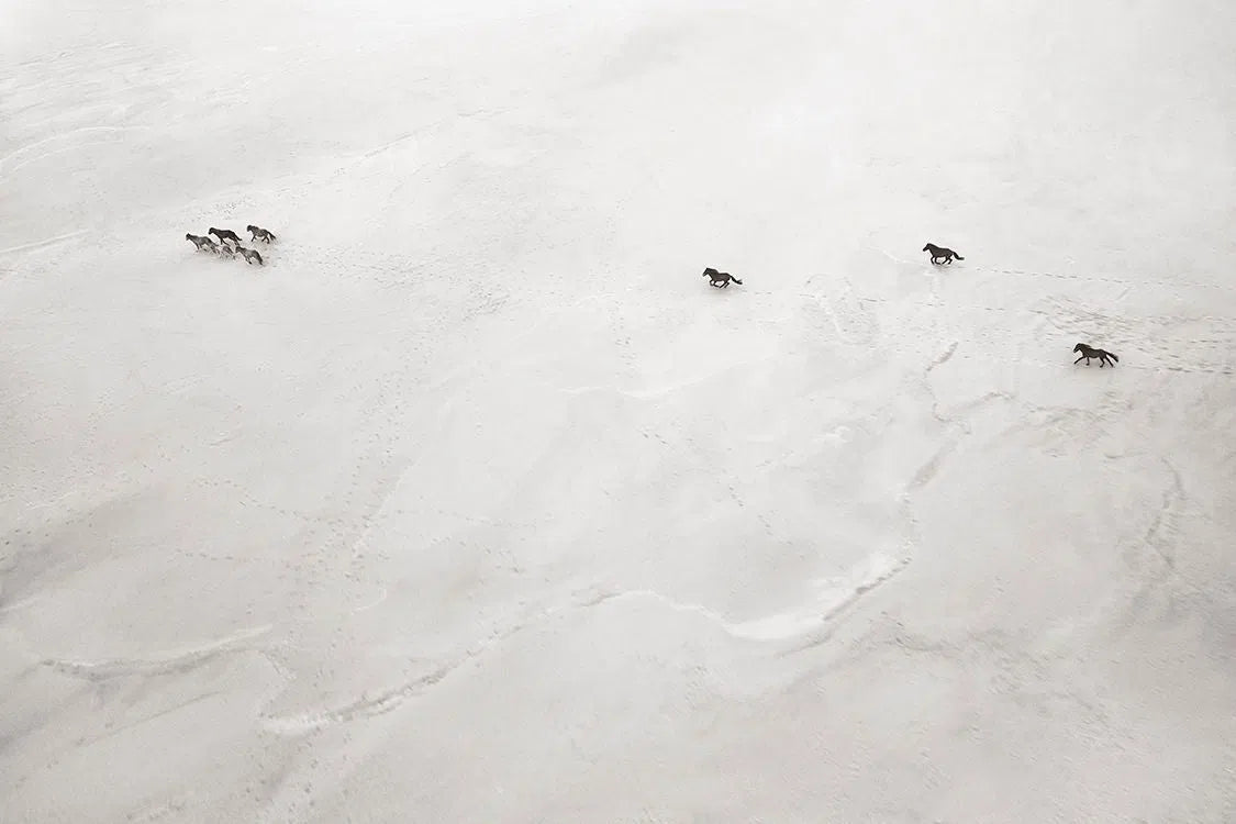 Uncharted Path, by Drew Doggett – PurePhoto