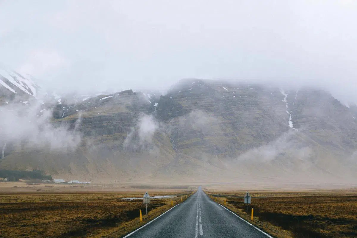 Wilderness IV, by Simon Reif – PurePhoto