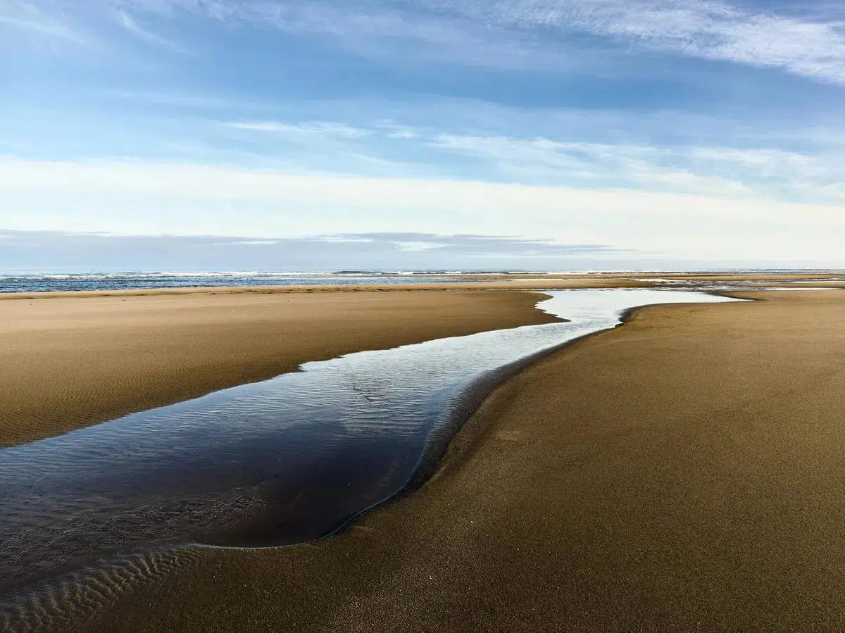 Beach, by Oliver Regueiro – PurePhoto