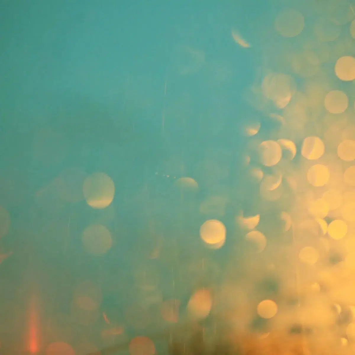 flash of brilliance, by Alicia Bock – PurePhoto